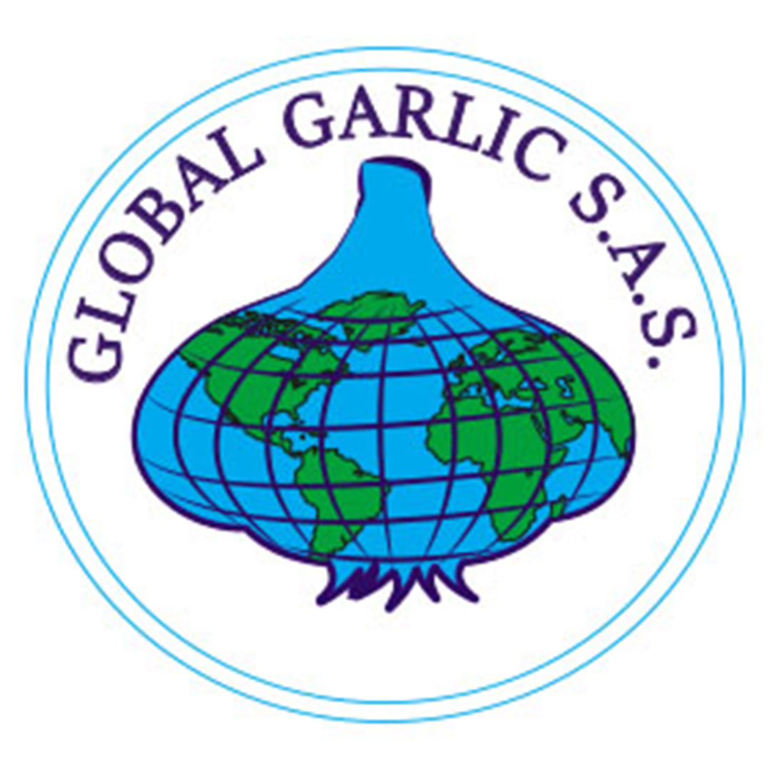 Importacion y Comercialización de Ajo 2026 - Global Garlic
